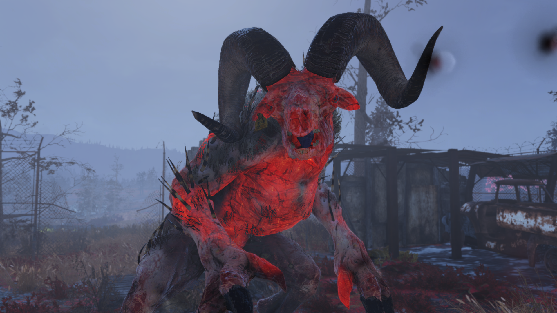 Sheepsquatches Wallpapers - Wallpaper Cave