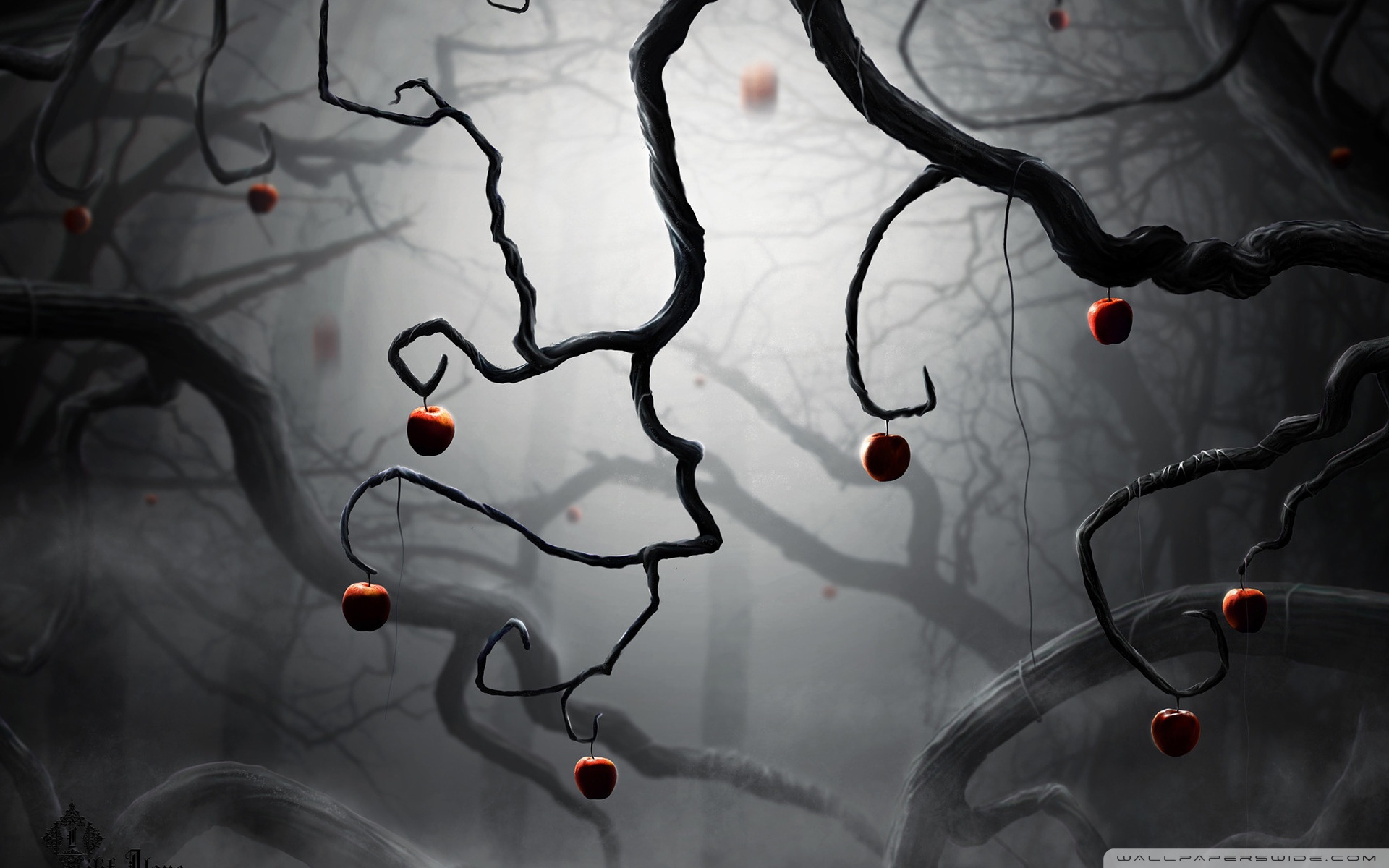 Magic Tree Wallpapers - Wallpaper Cave