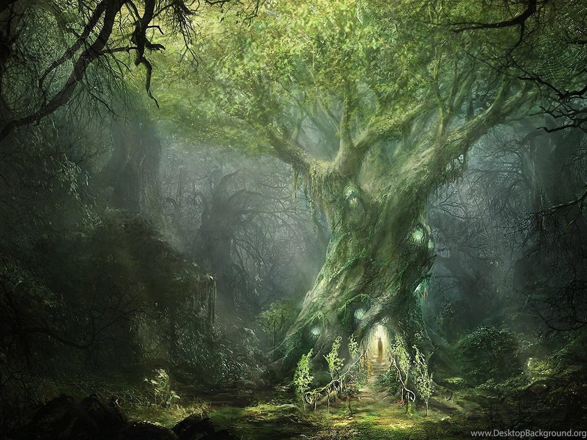 Magic Tree Wallpapers - Wallpaper Cave