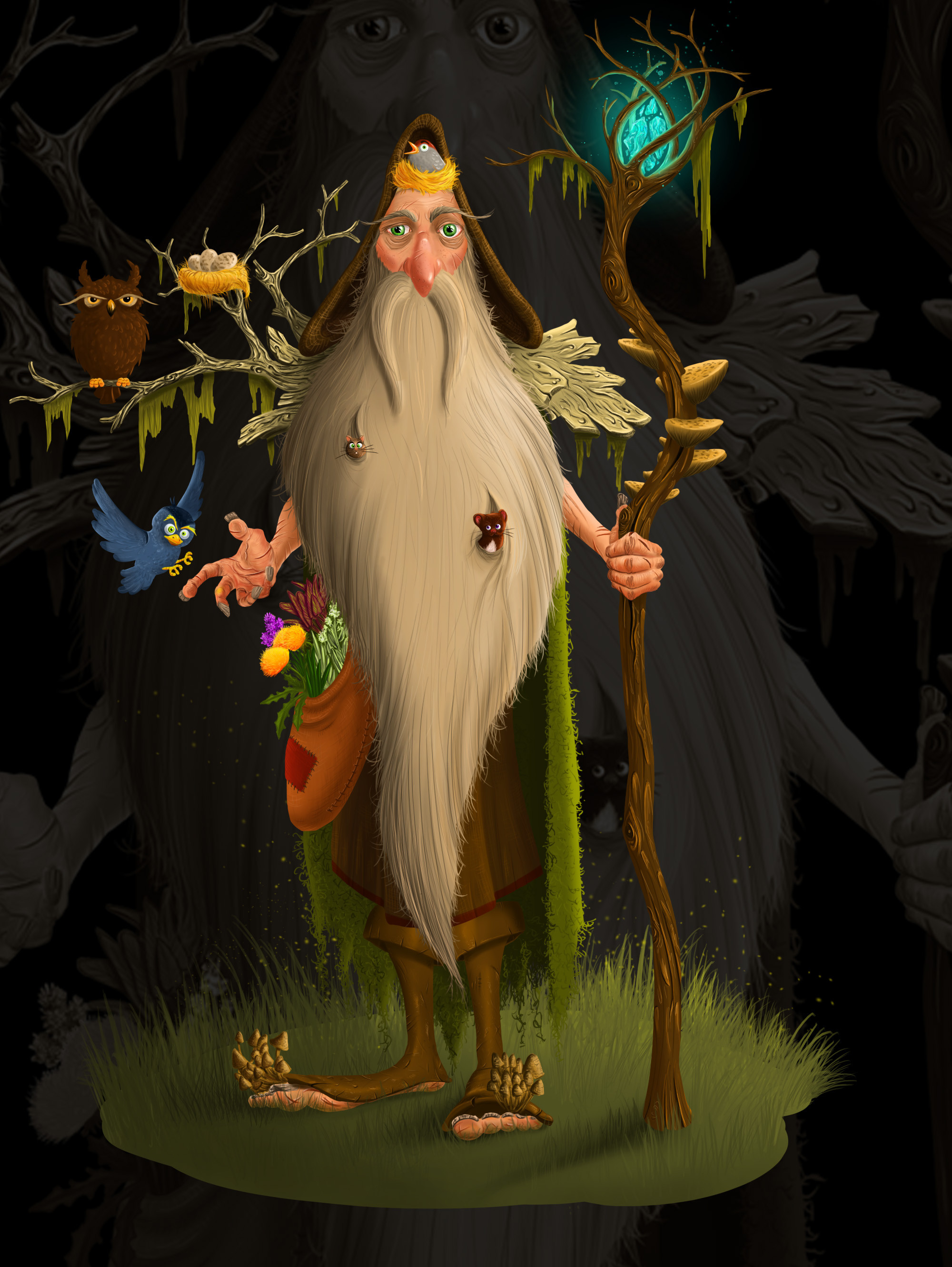 Radagast Wallpapers - Wallpaper Cave