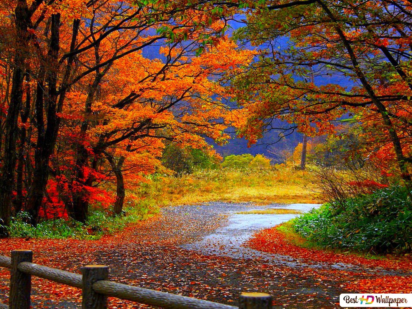 Best Scenery Wallpapers - Wallpaper Cave