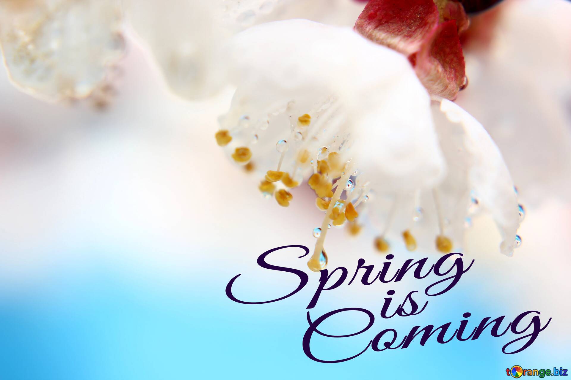 Spring Comming Wallpapers - Wallpaper Cave