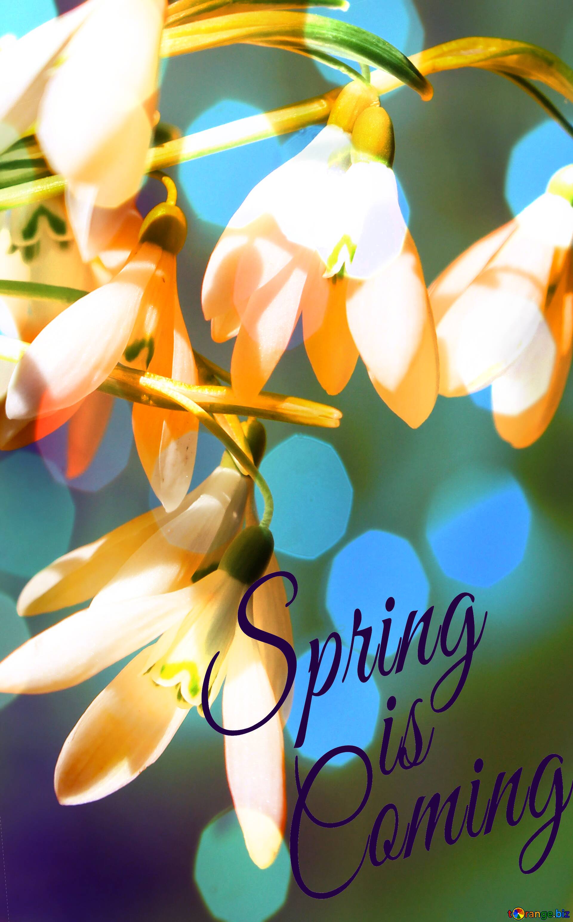 Spring Comming Wallpapers - Wallpaper Cave