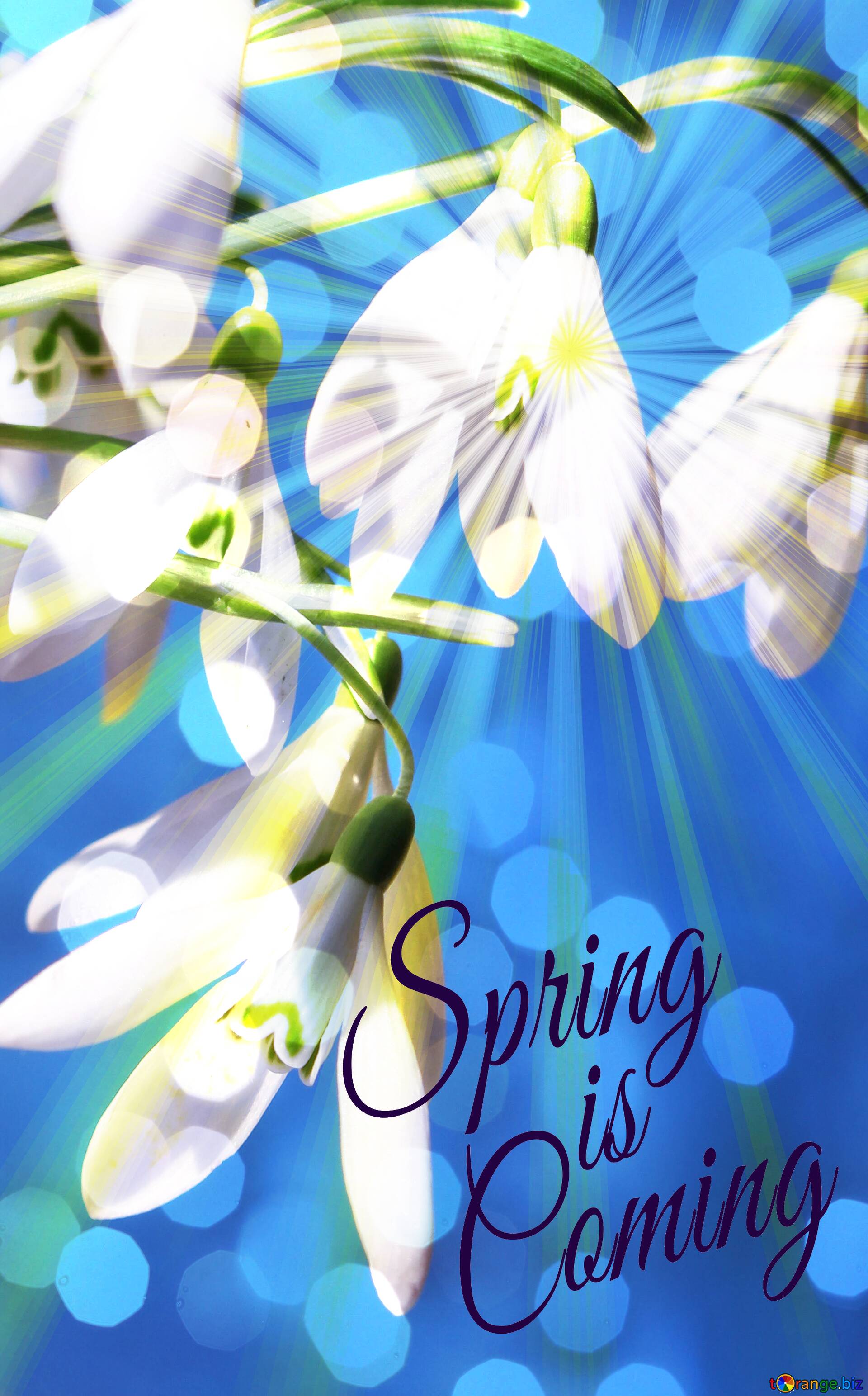 Spring Comming Wallpapers - Wallpaper Cave