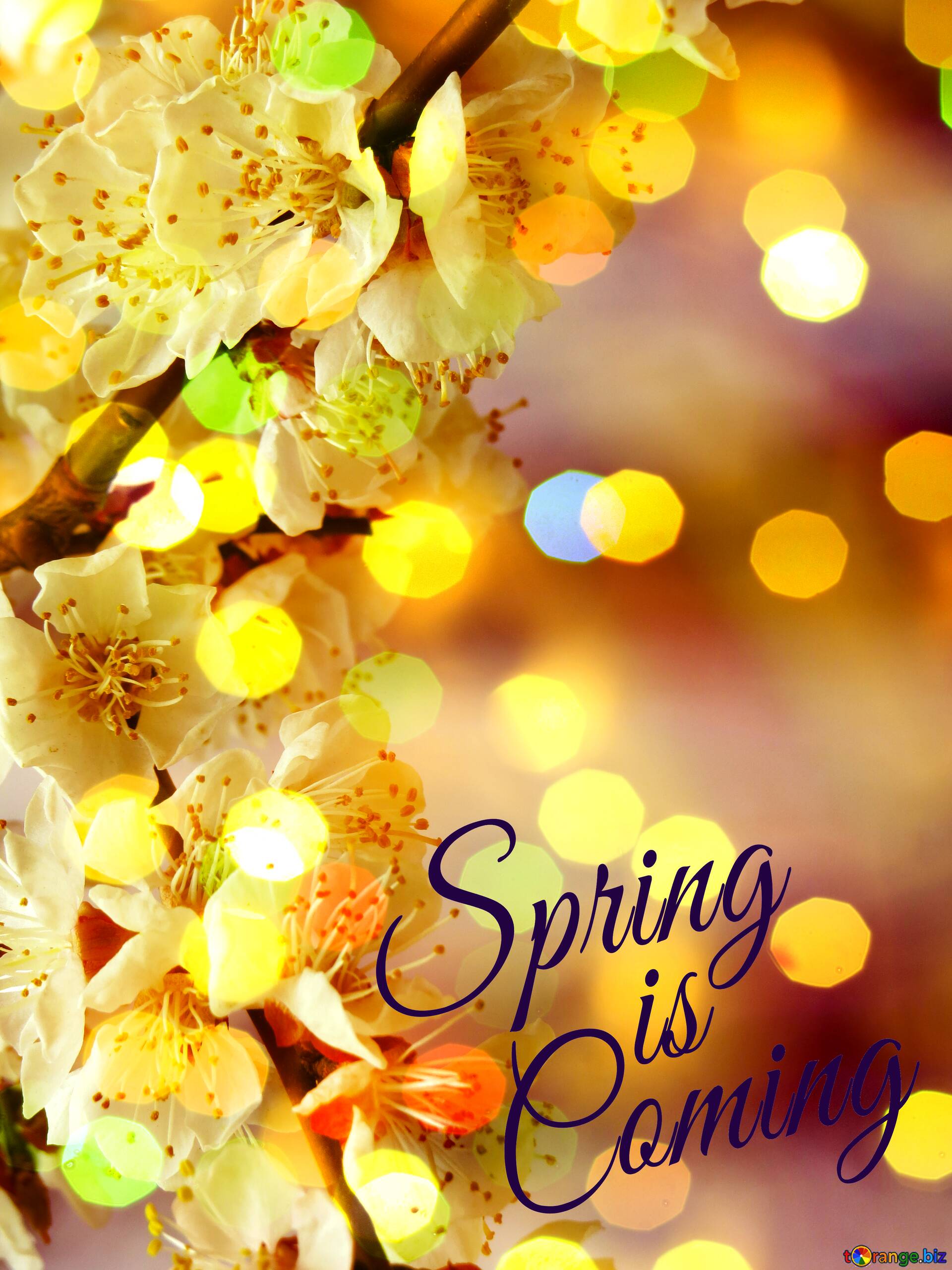 Spring Comming Wallpapers - Wallpaper Cave