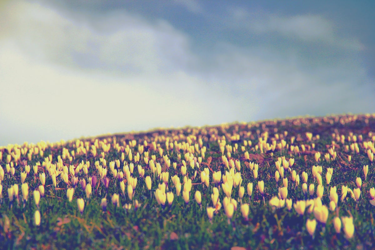 Spring Comming Wallpapers - Wallpaper Cave