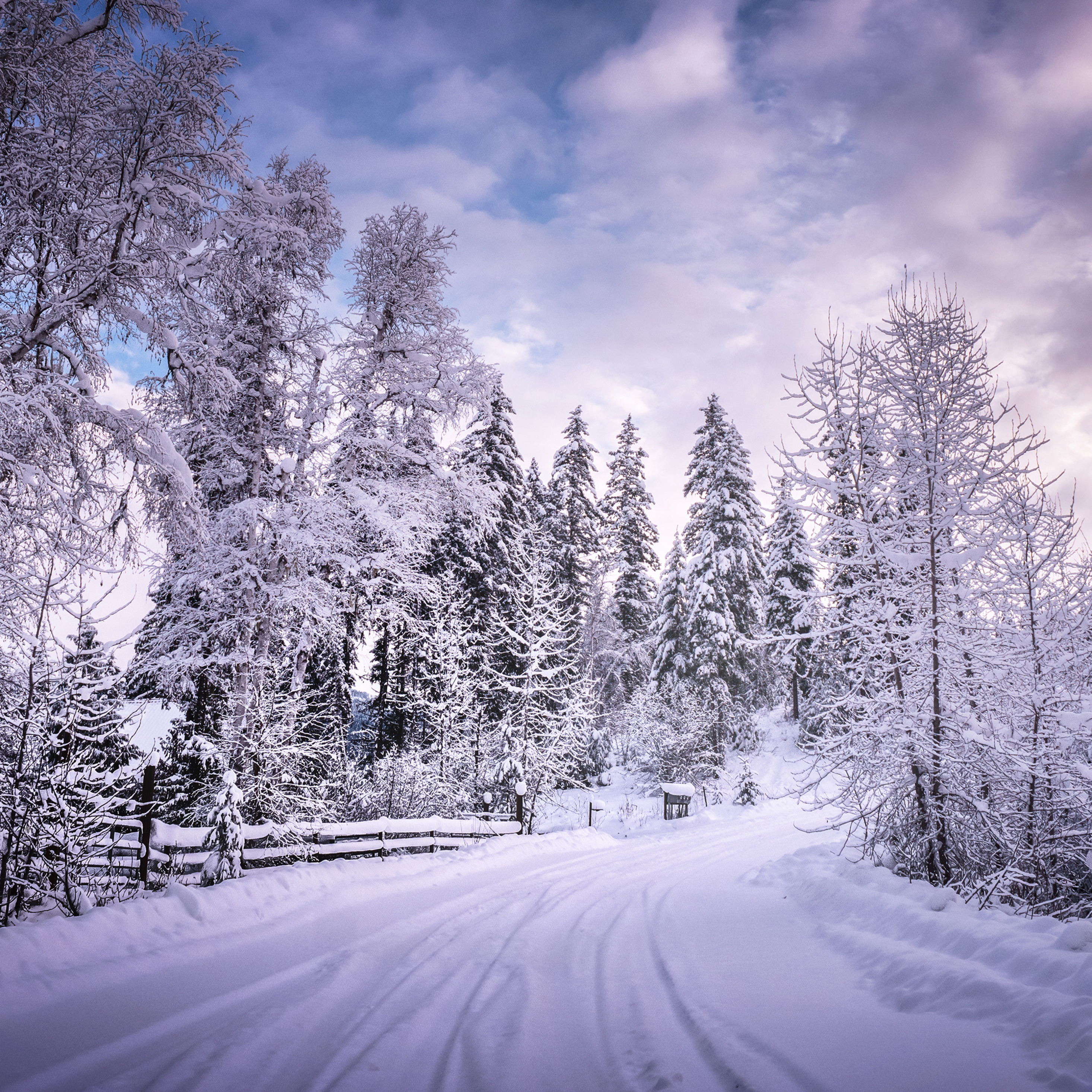 Winter iPad 4k Wallpapers - Wallpaper Cave