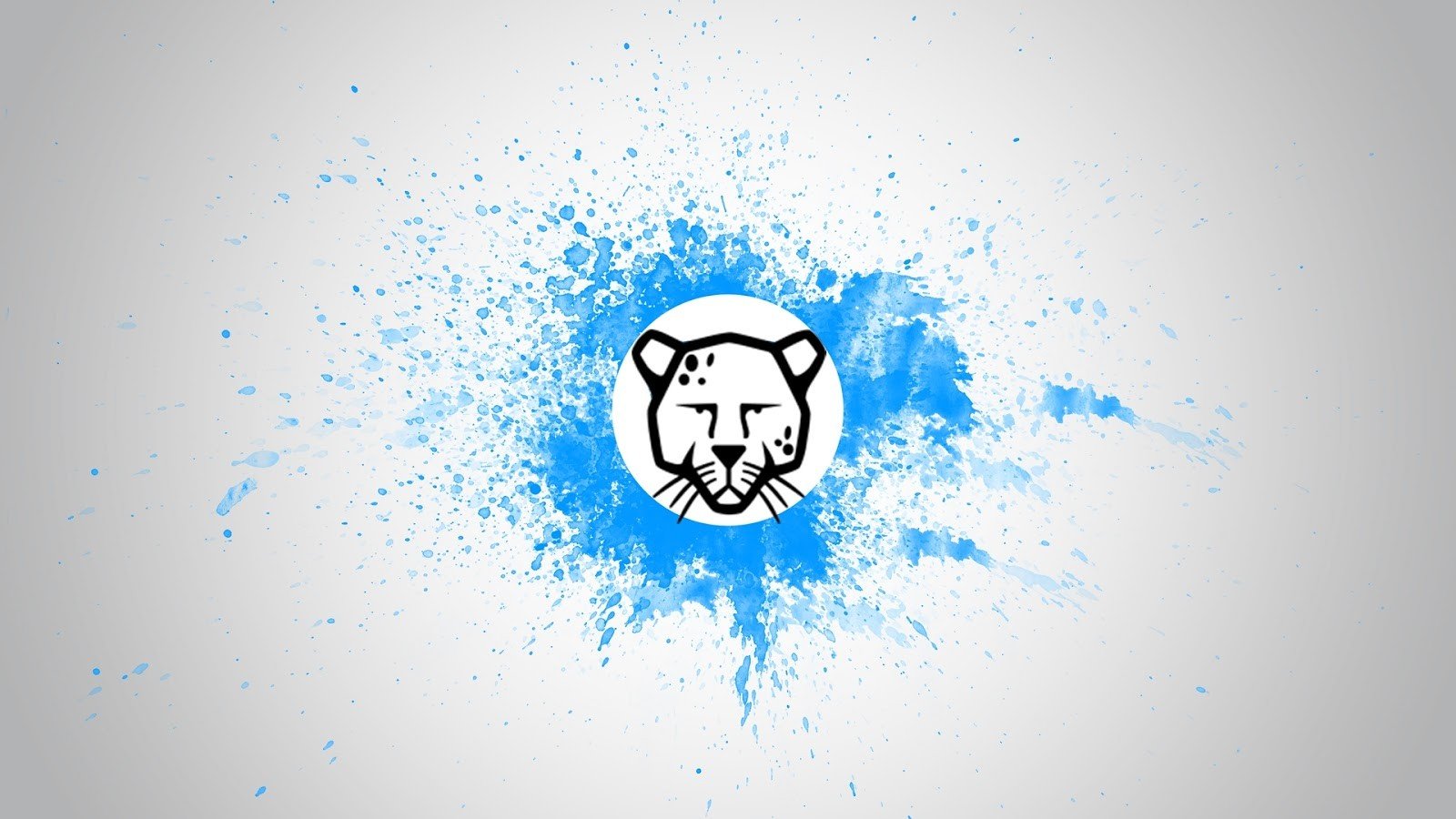 Pardus Wallpapers - Wallpaper Cave