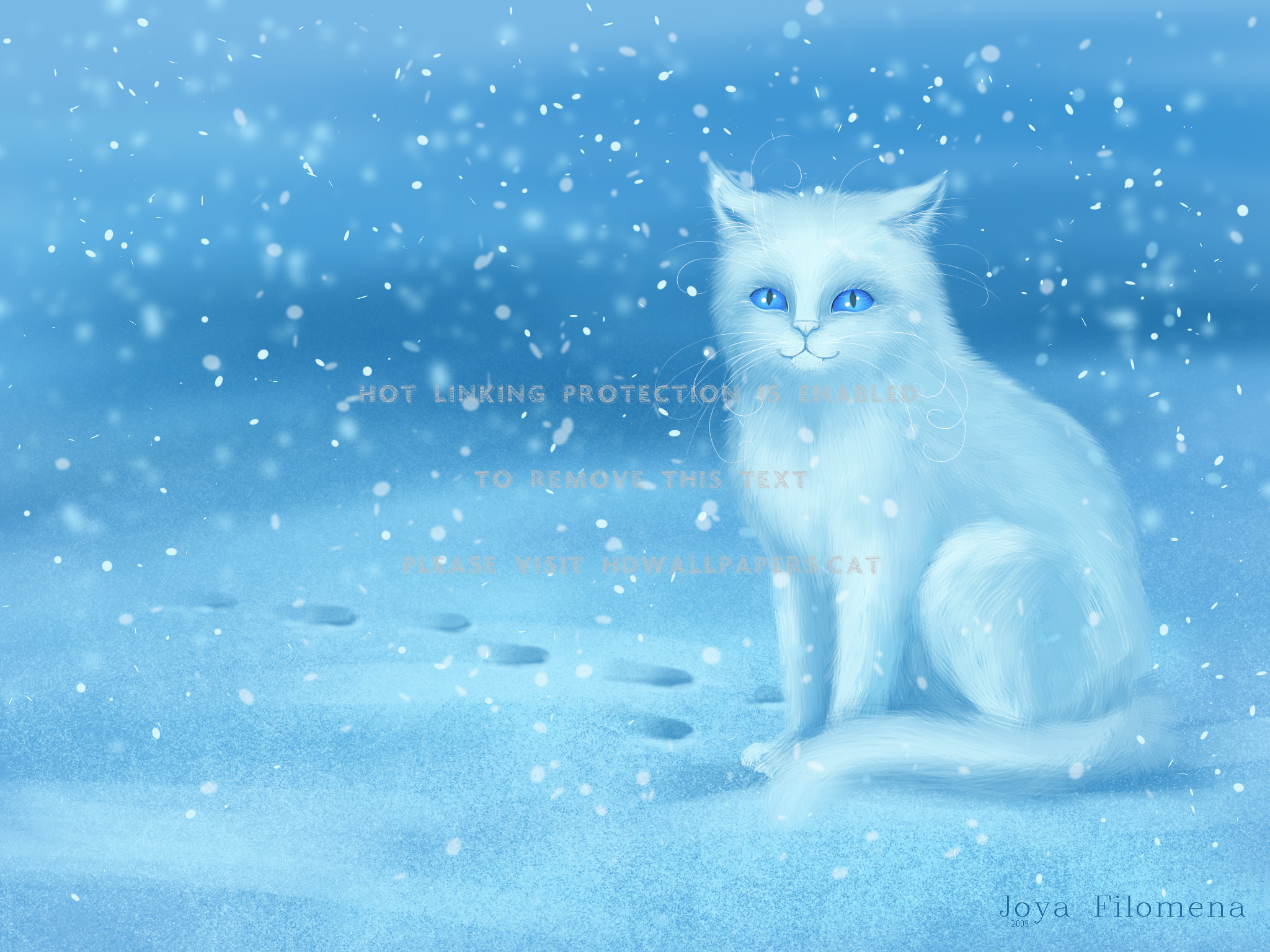 Cute Winter Cat Wallpapers - Wallpaper Cave