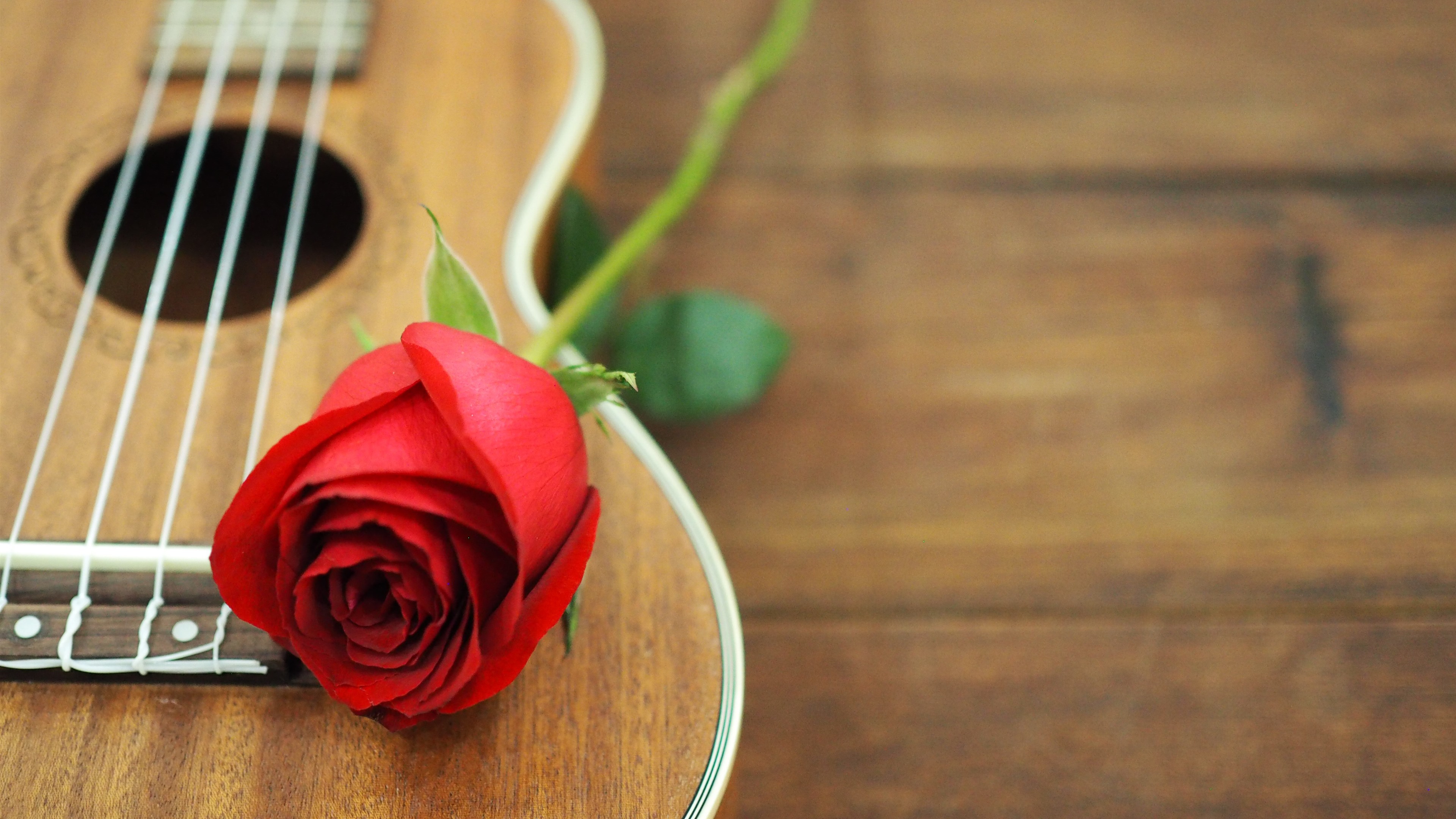 Guitar And Roses Wallpapers - Wallpaper Cave