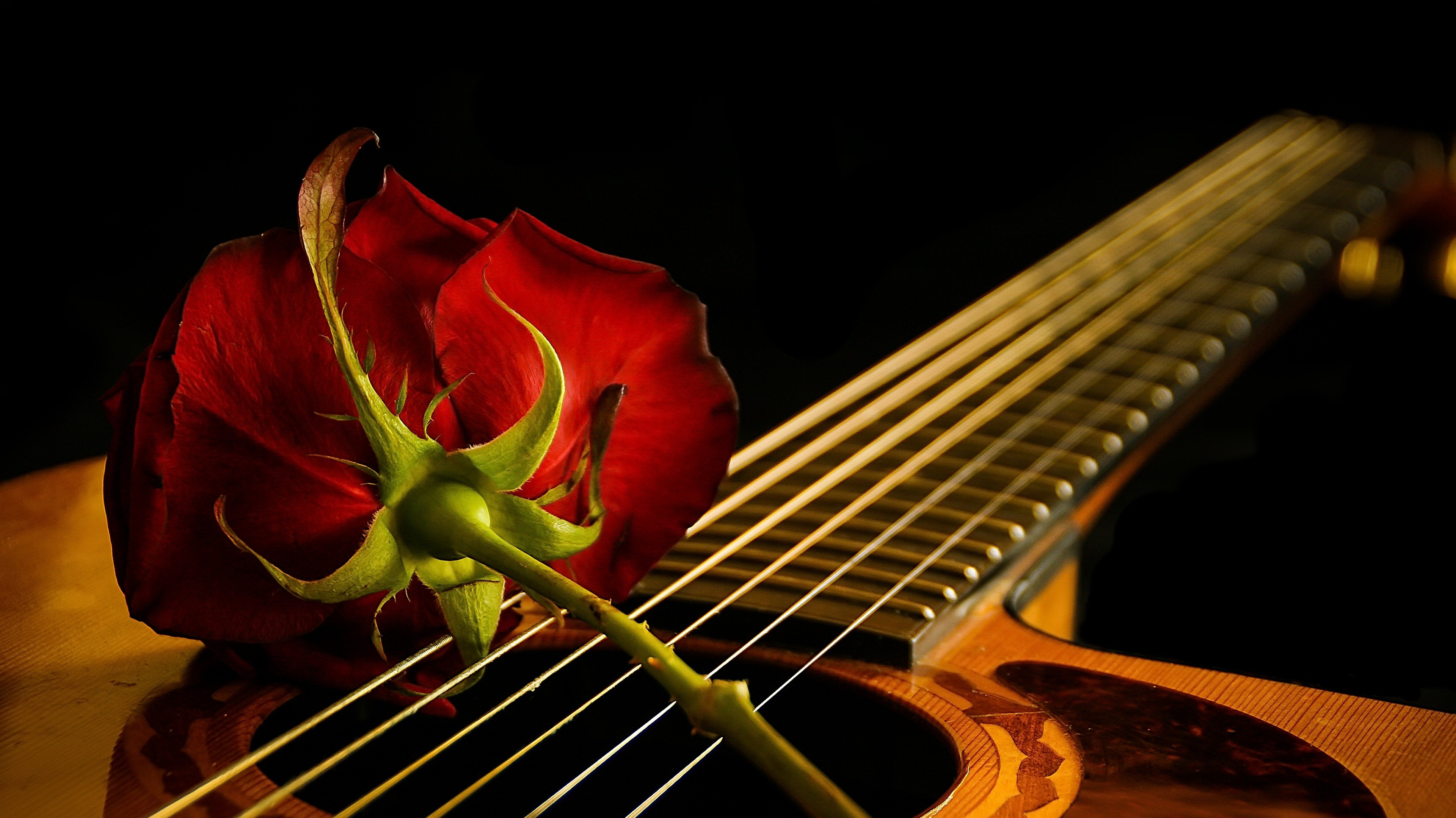 Guitar And Roses Wallpapers - Wallpaper Cave