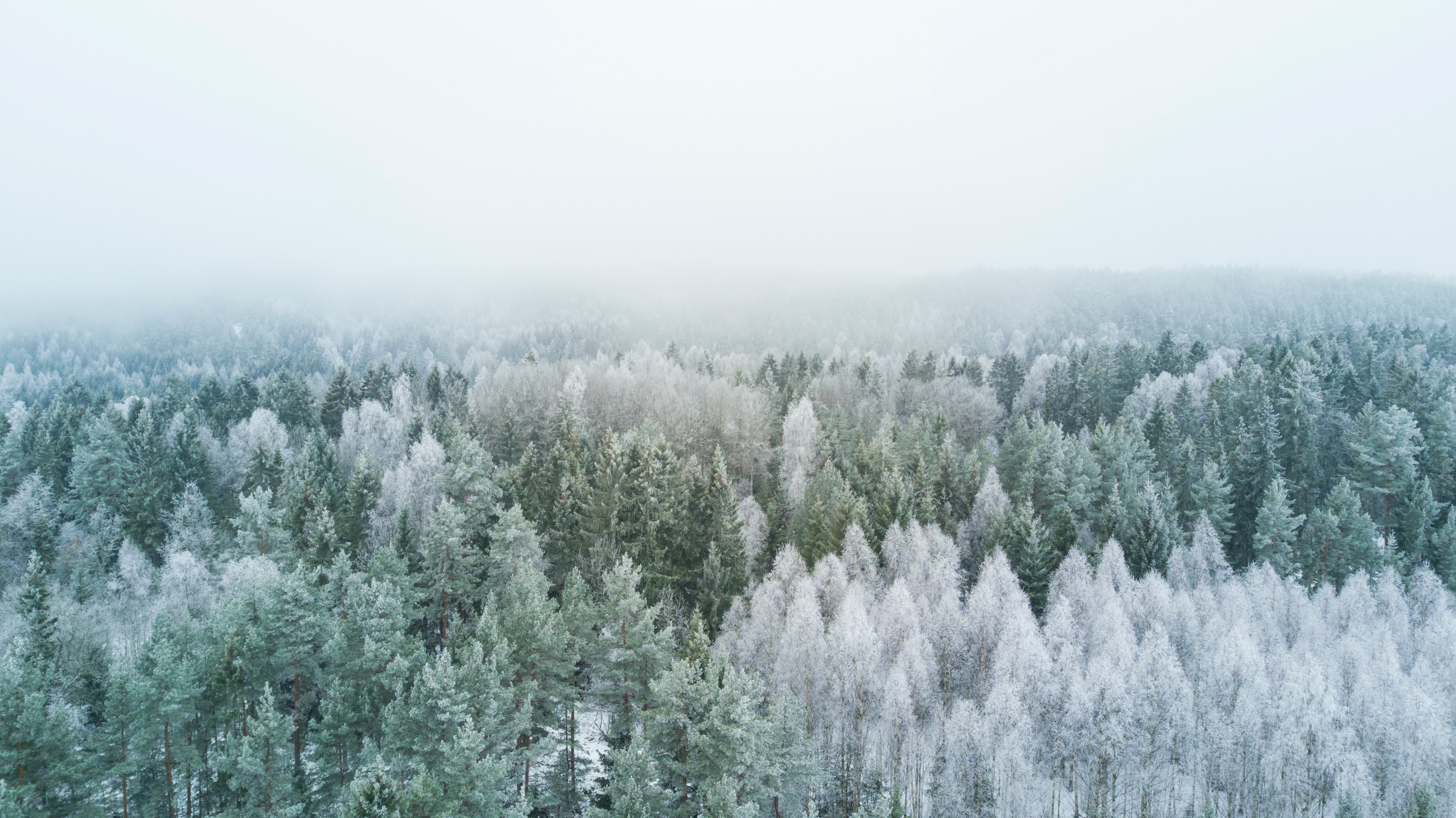 A Perfect Day In Winter Wallpapers - Wallpaper Cave