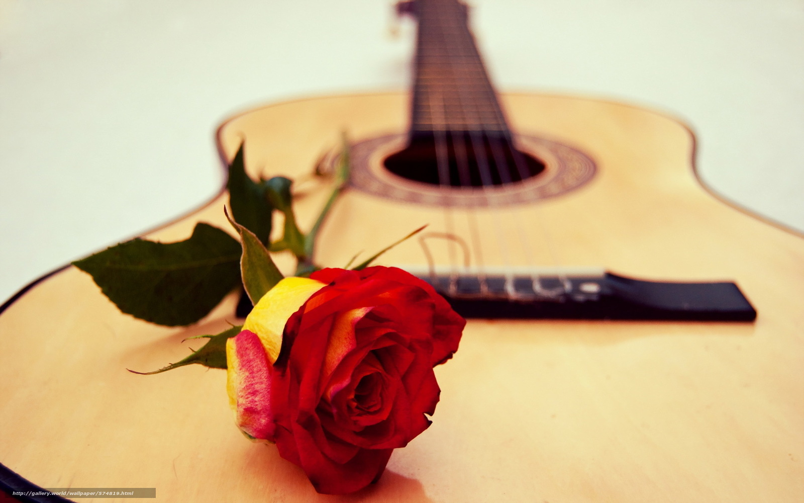 Guitar And Roses Wallpapers - Wallpaper Cave