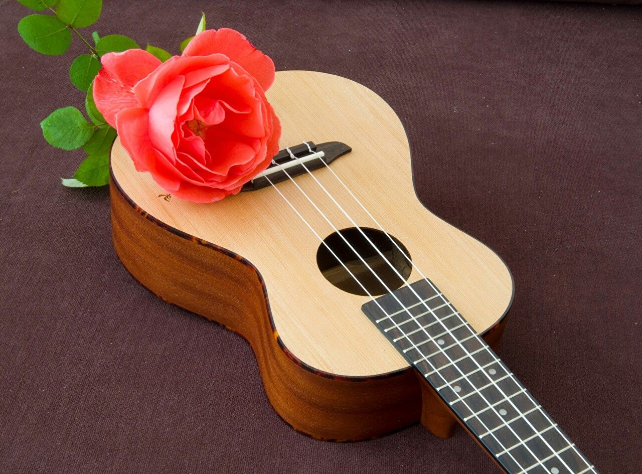 Guitar And Roses Wallpapers - Wallpaper Cave