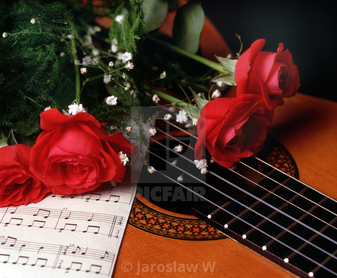 Guitar And Roses Wallpapers - Wallpaper Cave