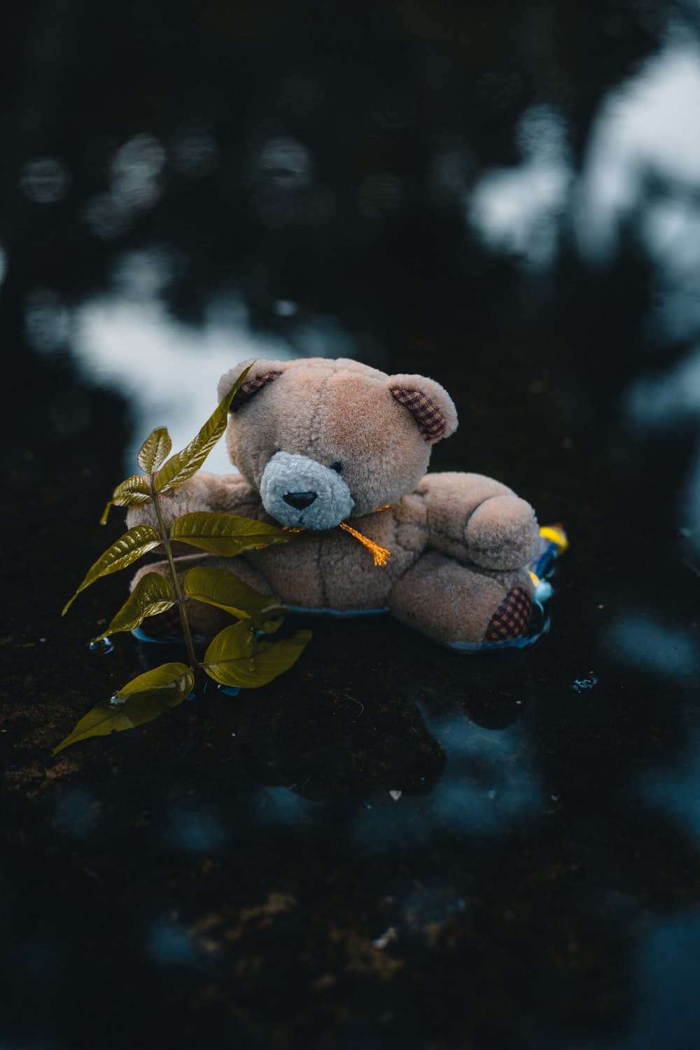 Sad Teddy Wallpapers - Wallpaper Cave