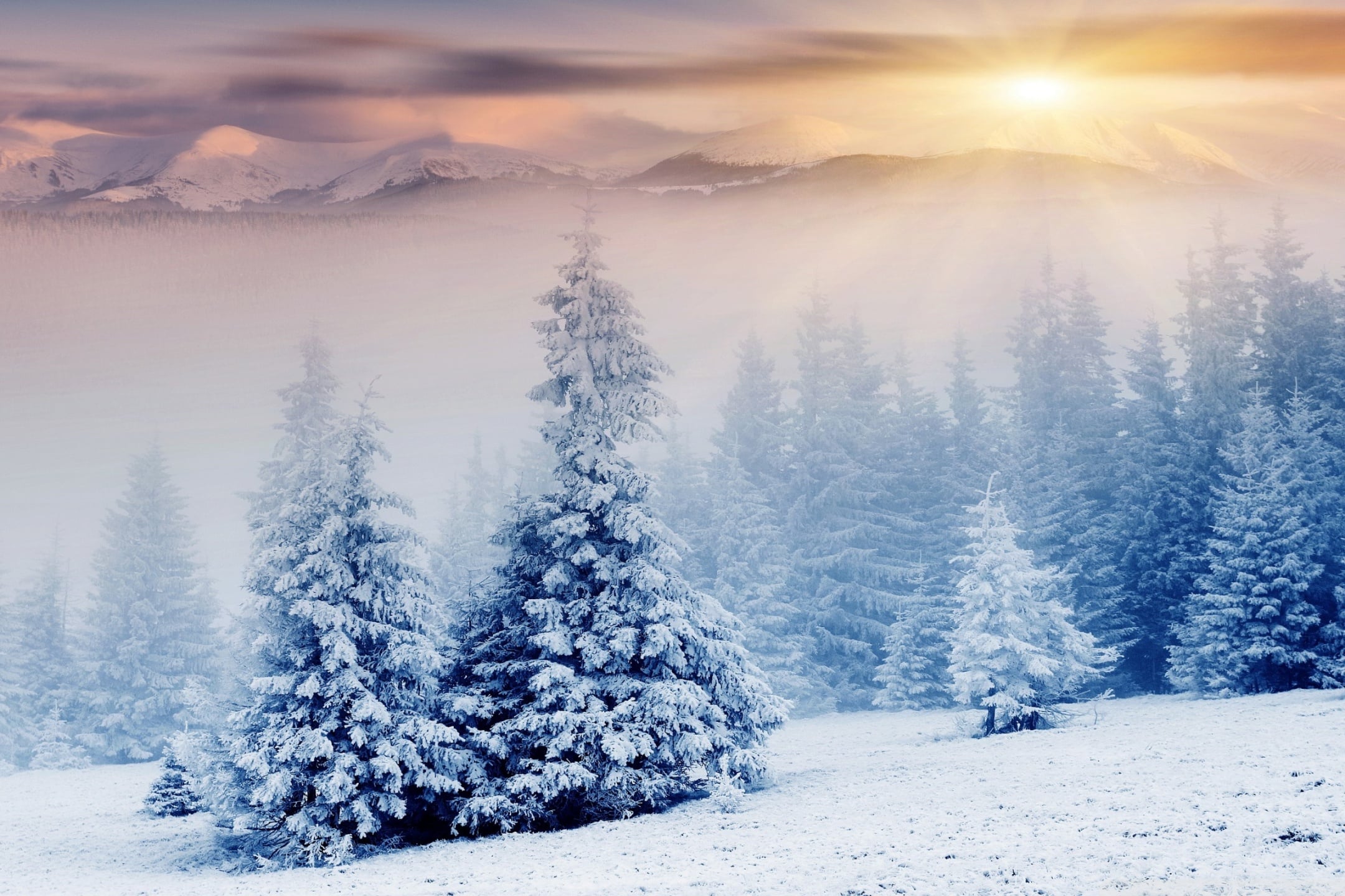 Winter Desktop Microsoft Wallpapers - Wallpaper Cave