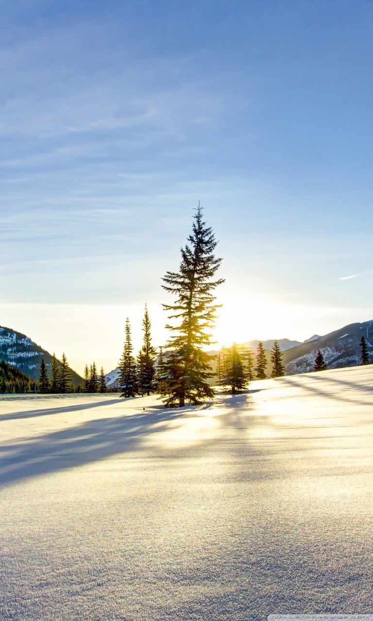 Pre Winter Mobile Wallpapers - Wallpaper Cave