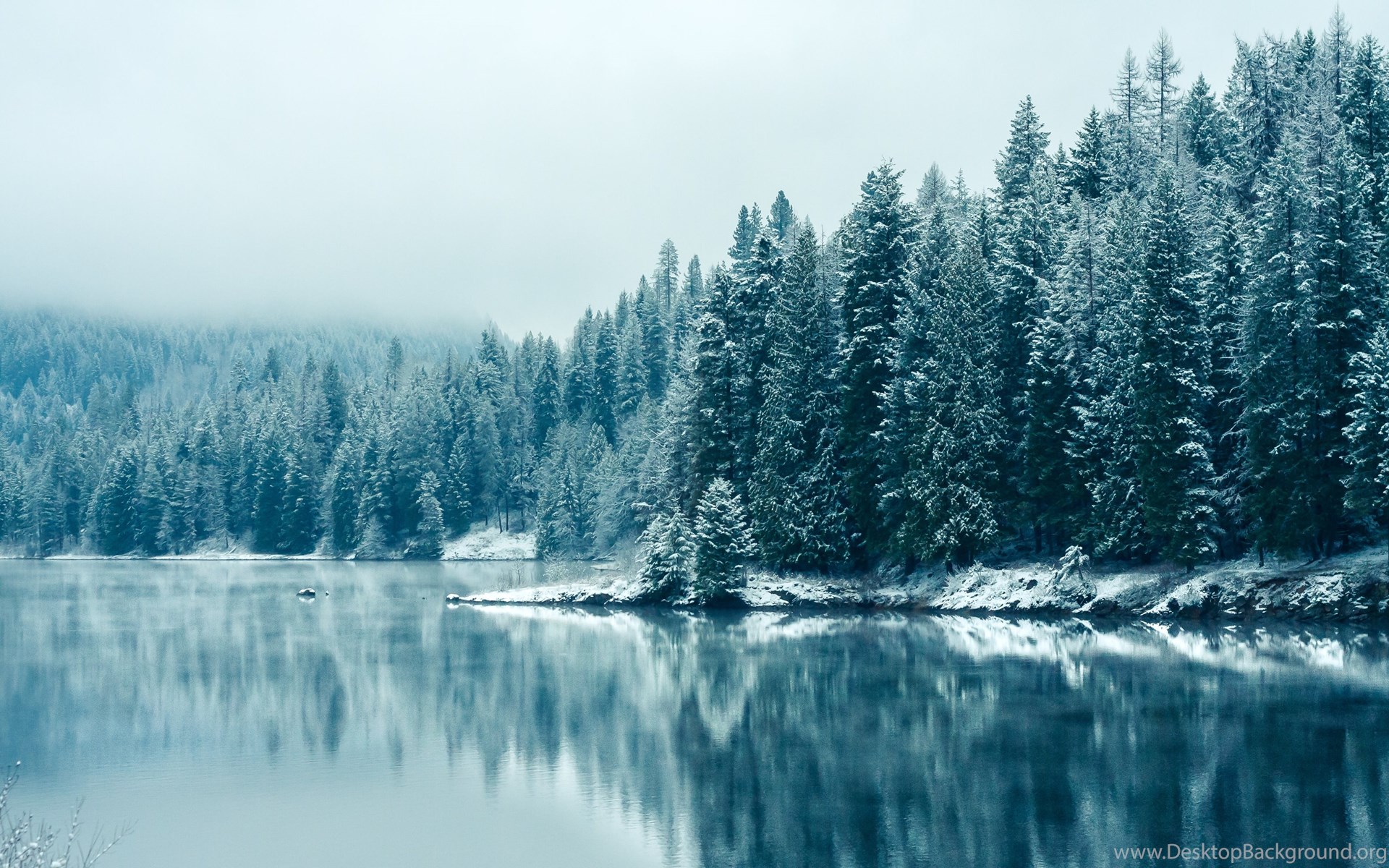 Icey Winter Wallpapers - Wallpaper Cave