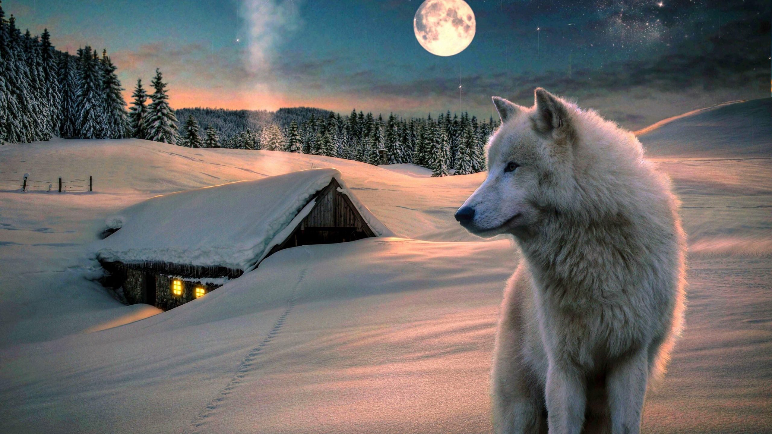 Winter Moon Desktop Wallpapers - Wallpaper Cave