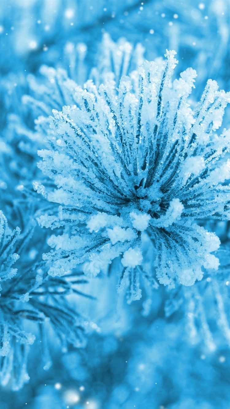 Icey Winter Wallpapers - Wallpaper Cave