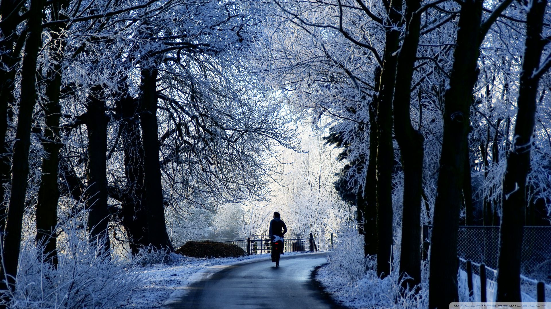 Nature Winter Ultrawide Wallpapers - Wallpaper Cave
