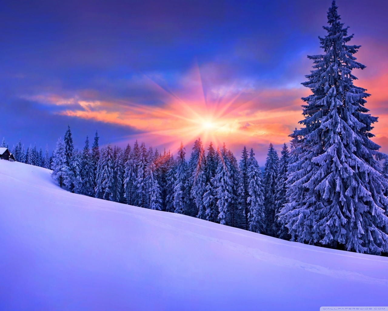 Nature Winter Ultrawide Wallpapers - Wallpaper Cave