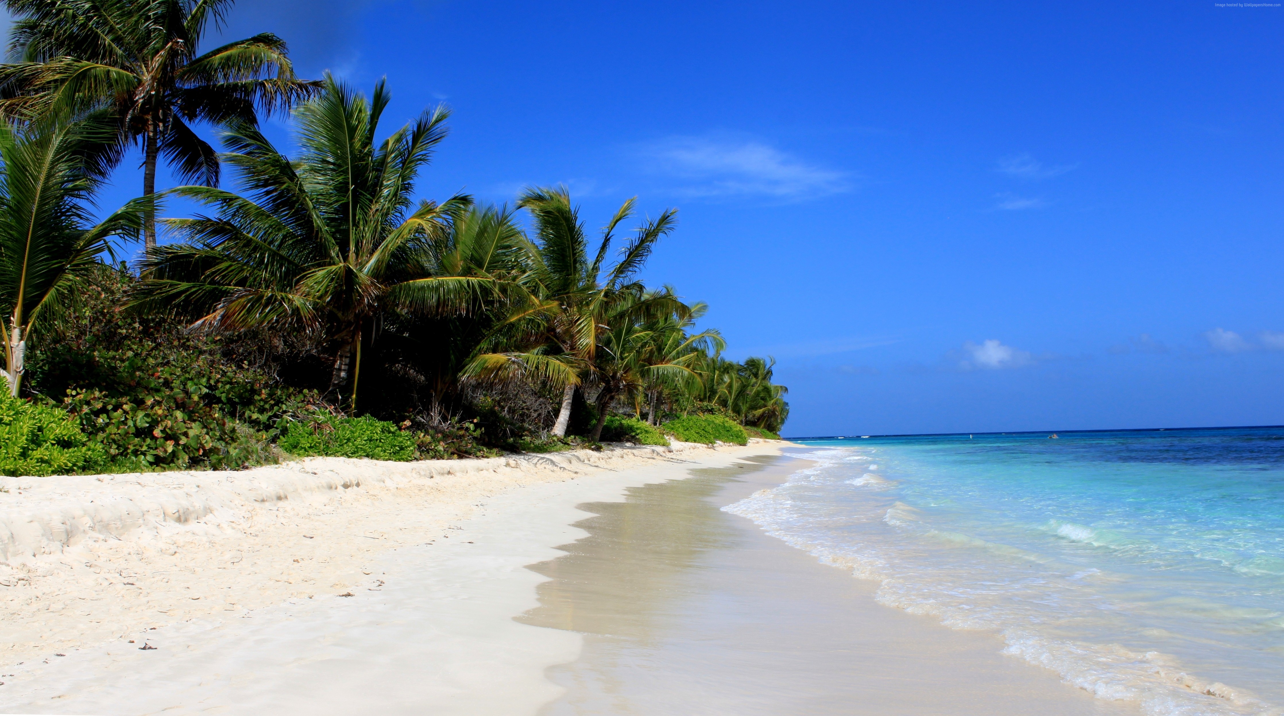 2023 Beach Wallpapers - Wallpaper Cave