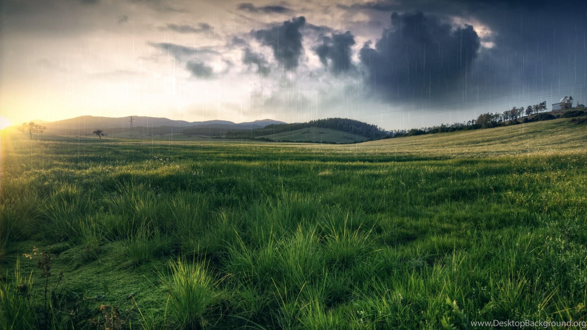 Early Spring 1920x1080 Wallpapers - Wallpaper Cave