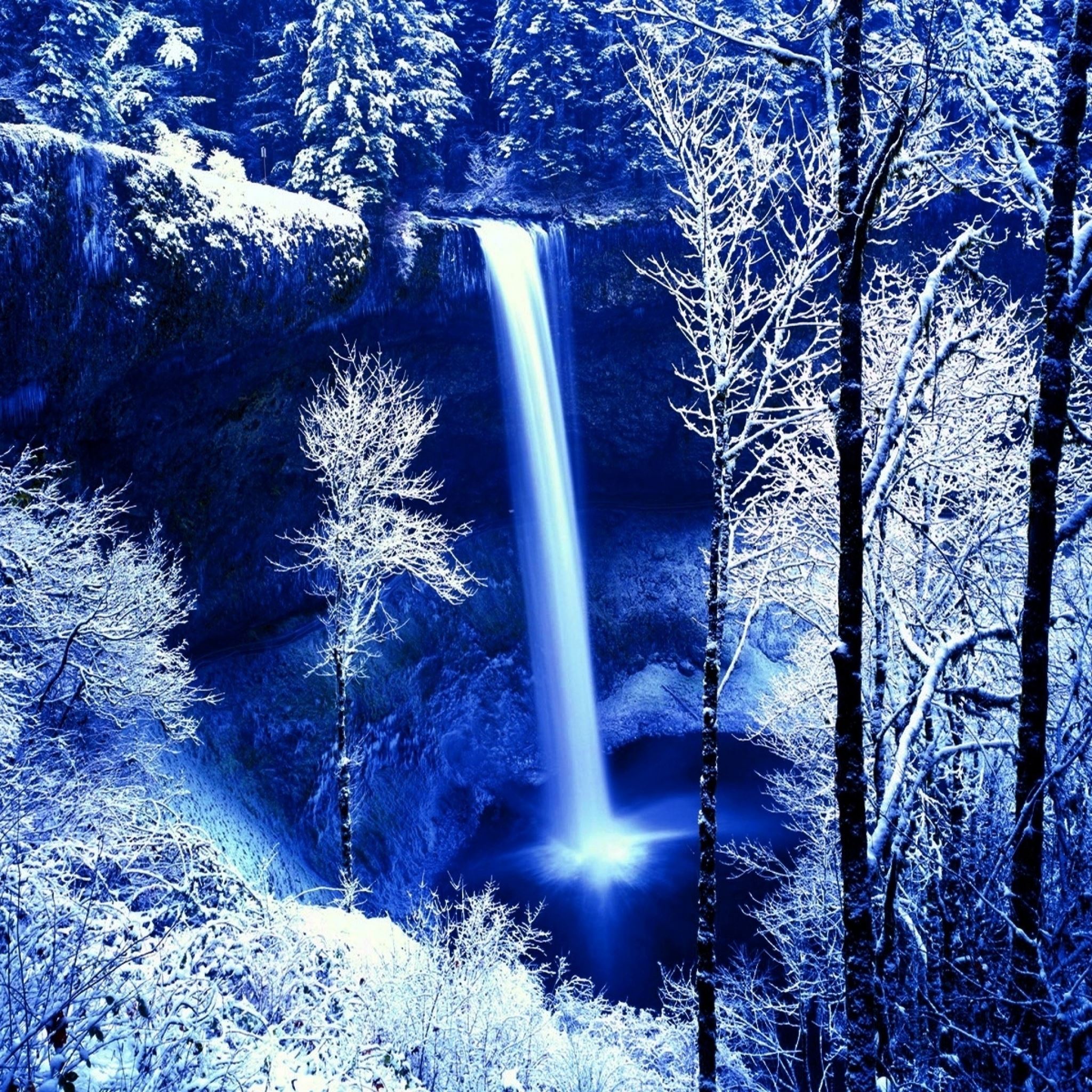 Winter Trees Dark Wallpapers - Wallpaper Cave