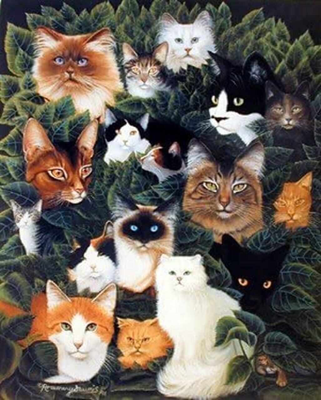Cat Collage Wallpapers - Wallpaper Cave