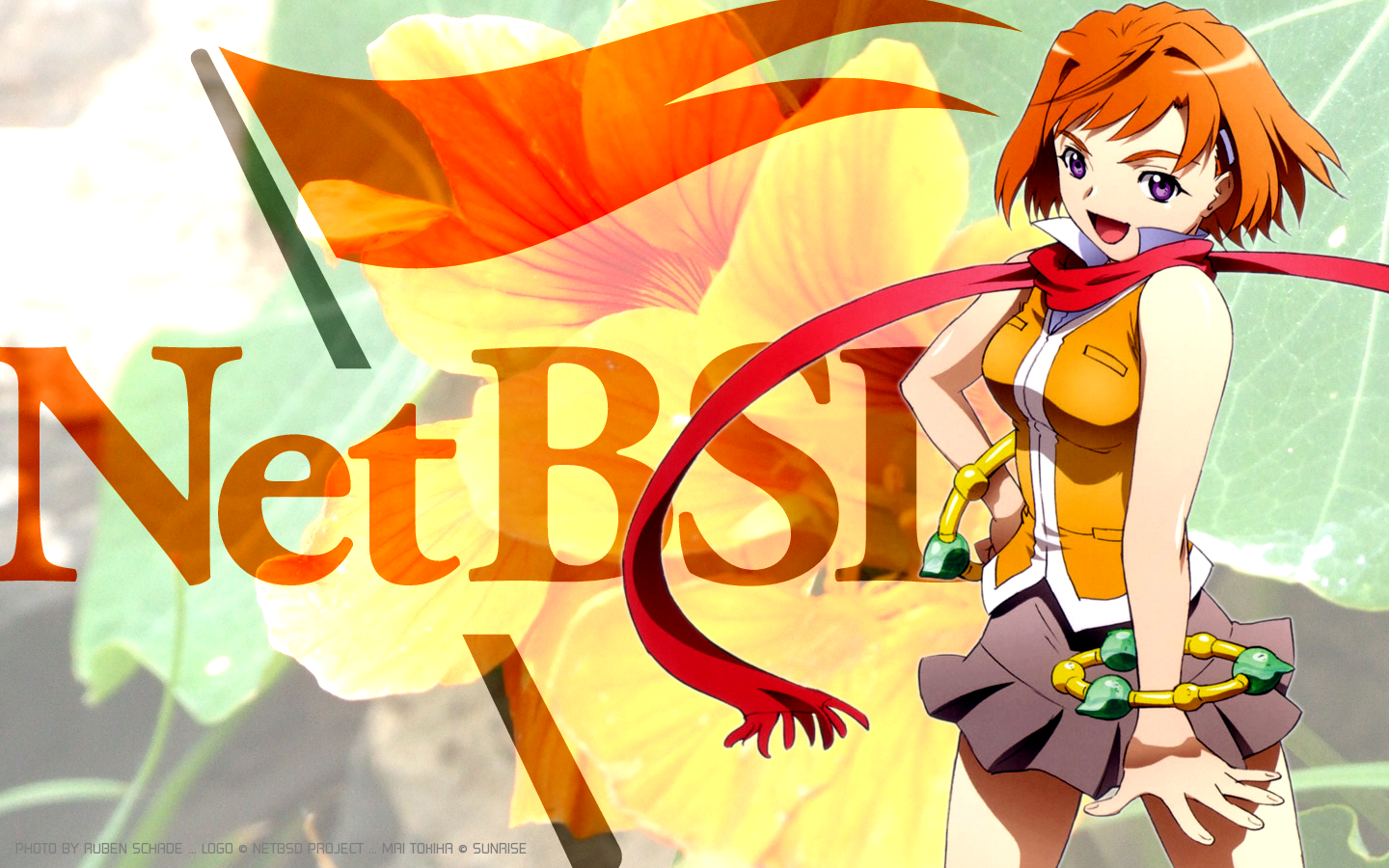 NetBSD Wallpapers - Wallpaper Cave