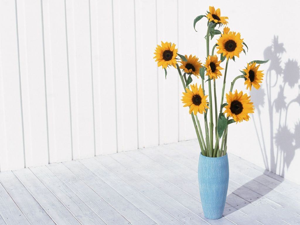 Flowerpot Wallpapers - Wallpaper Cave