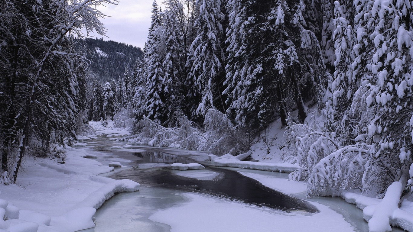 Winter Forest Scenery Wallpapers - Wallpaper Cave