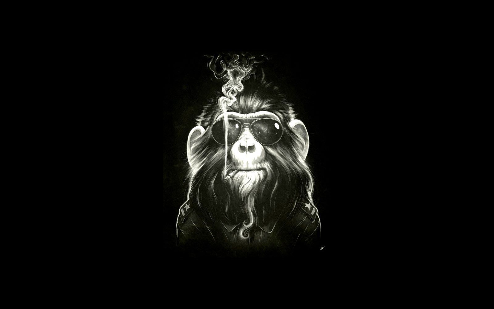 Monkey Smoking Wallpapers - Wallpaper Cave