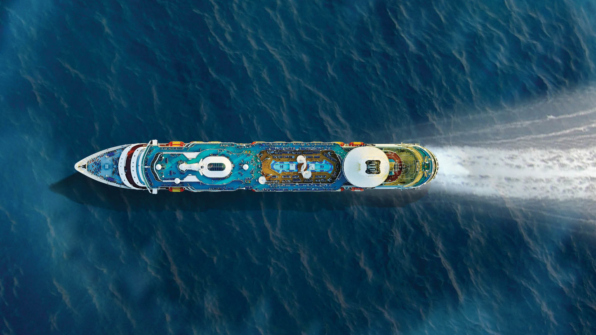 The Meg Movie Wallpapers - Wallpaper Cave