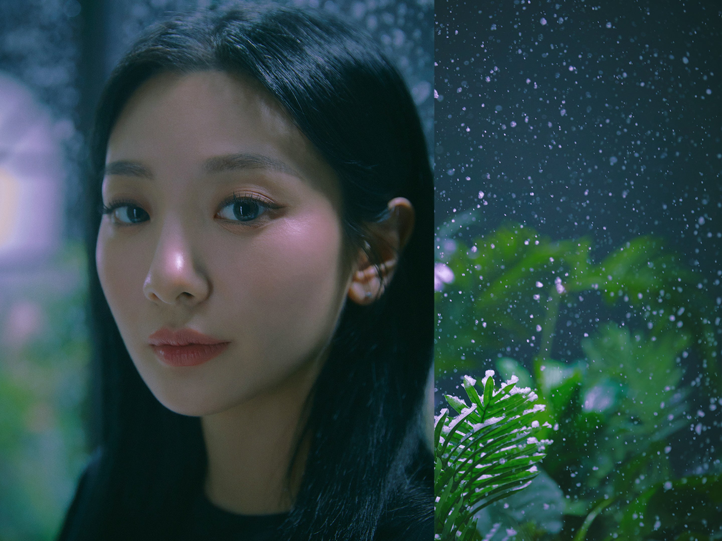 Some Bol4 Wallpapers - Wallpaper Cave