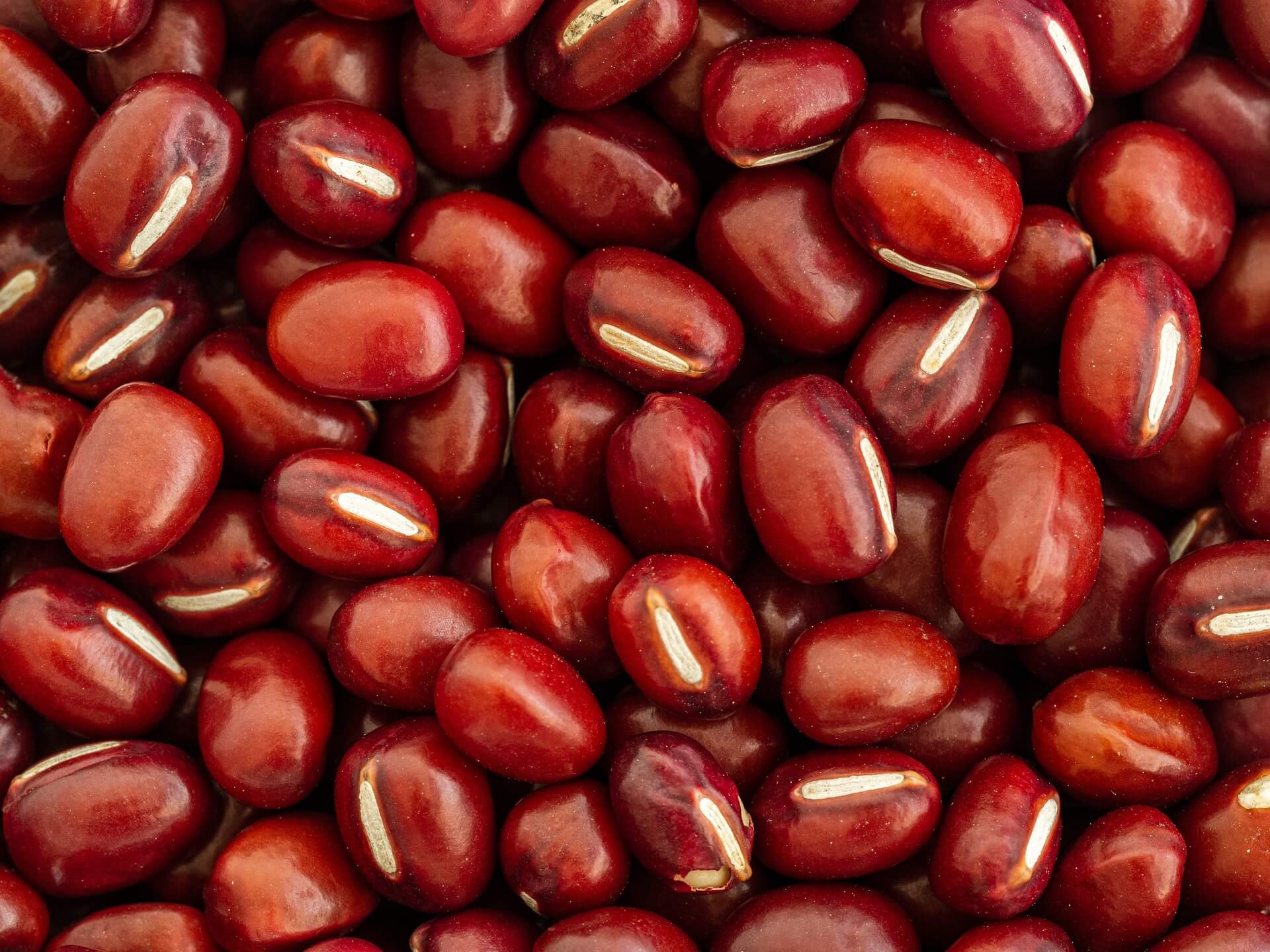 Azuki Bean Wallpapers - Wallpaper Cave