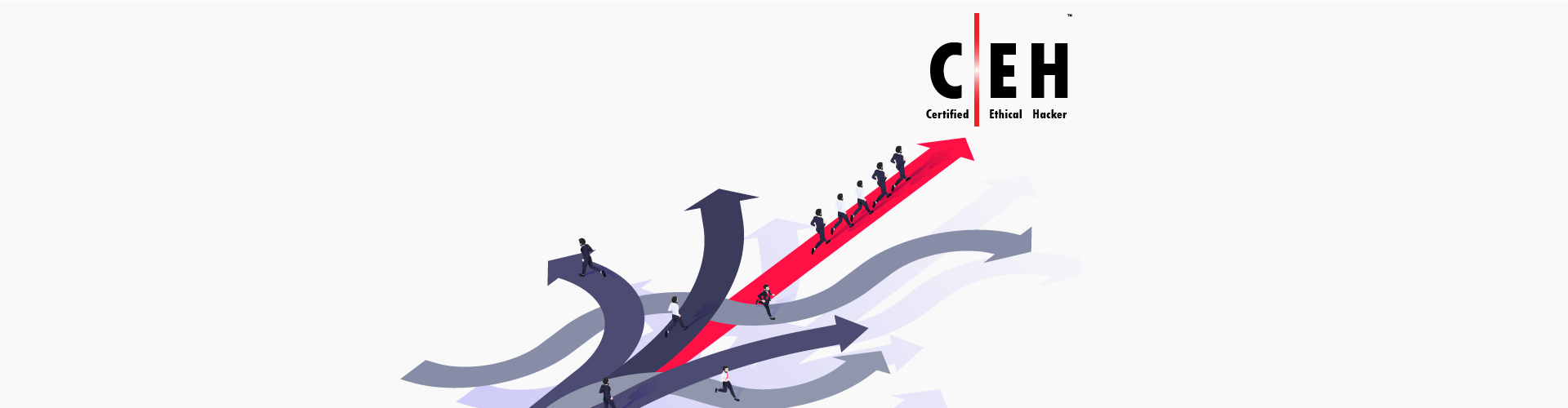 CEH Wallpapers - Wallpaper Cave