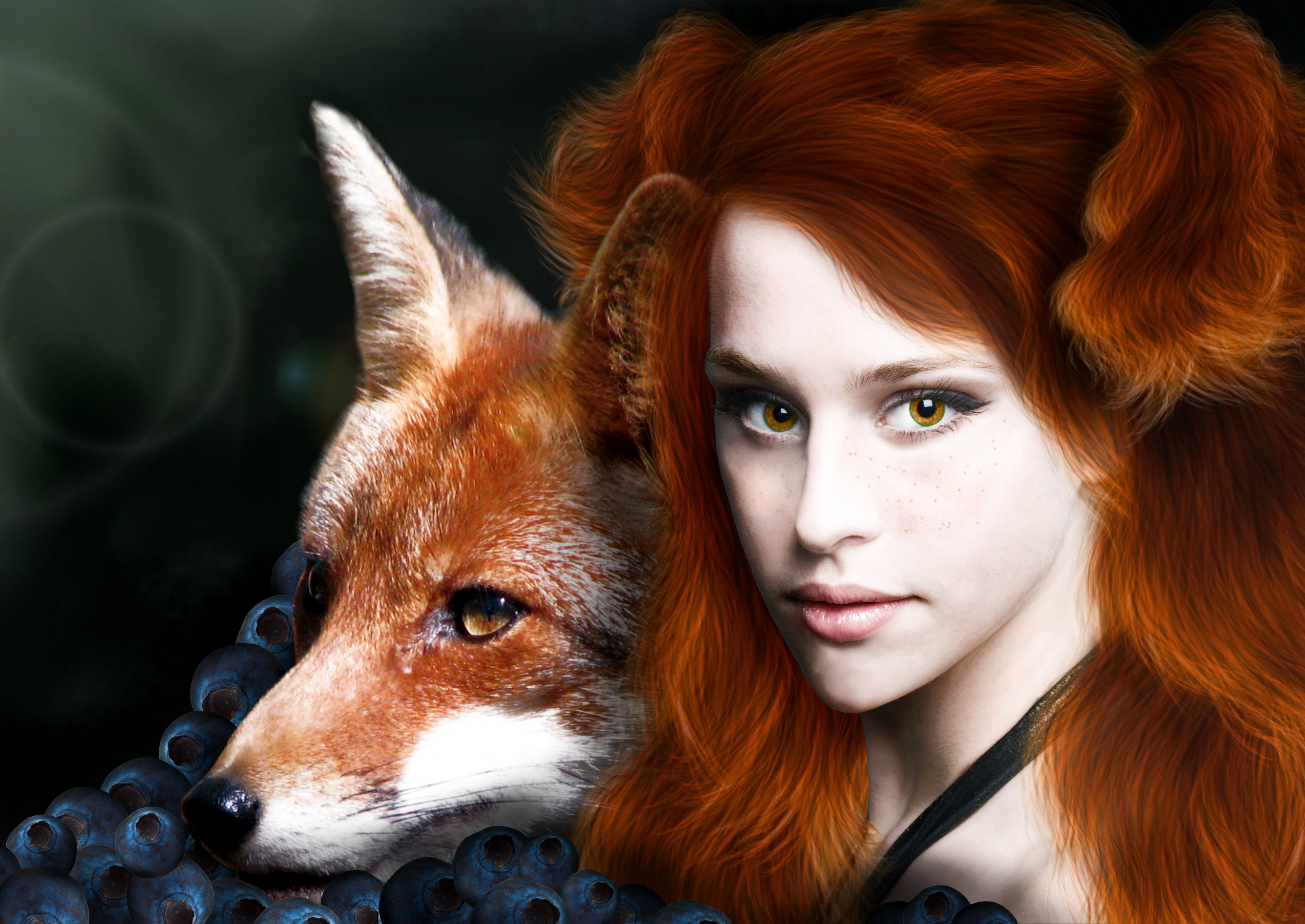 Fox Face Art Wallpapers - Wallpaper Cave