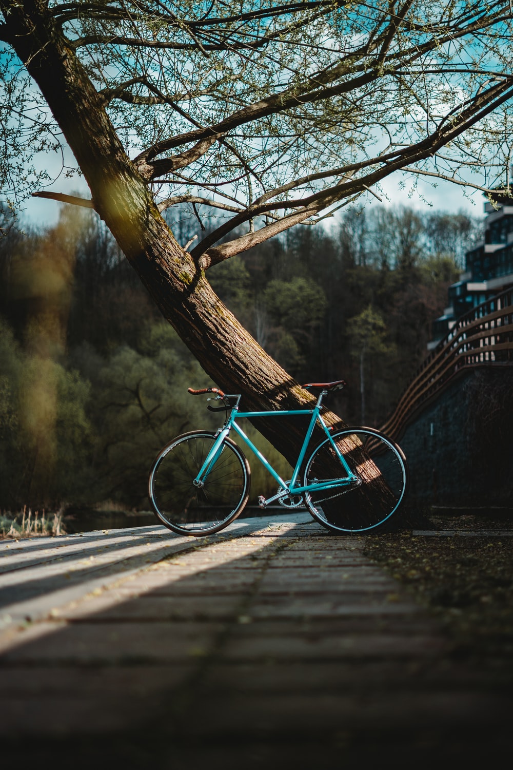 Fixie Bike Wallpapers - Wallpaper Cave