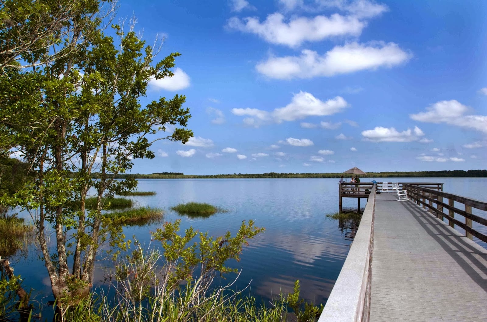 Florida Landscape Wallpapers - Wallpaper Cave