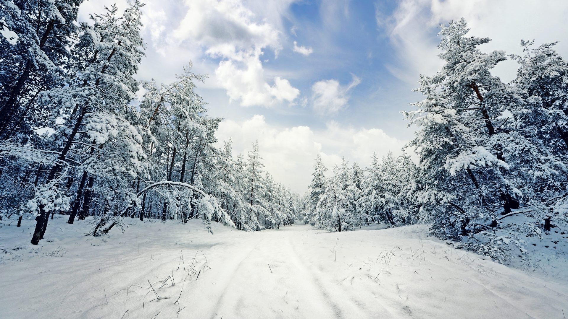 Winter Activity Wallpapers - Wallpaper Cave