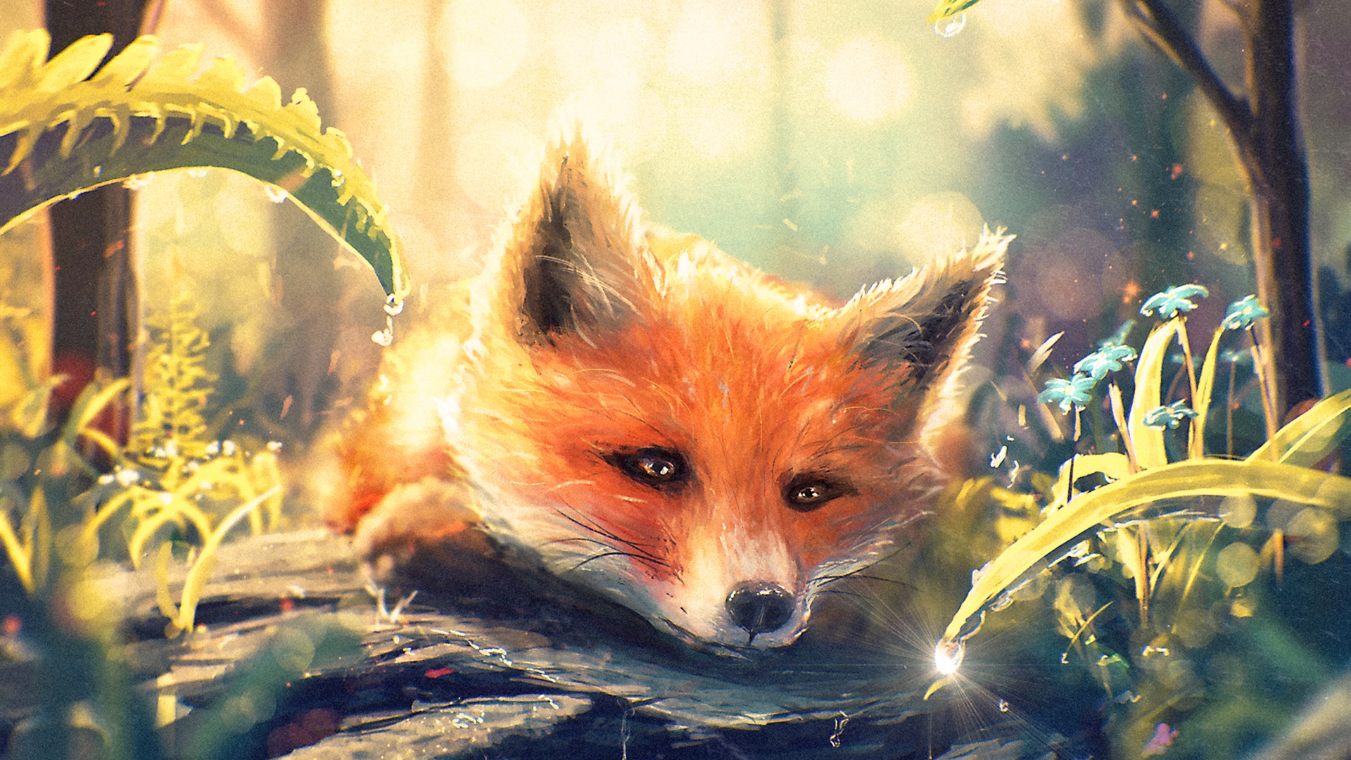 Fox Drawings Wallpapers - Wallpaper Cave