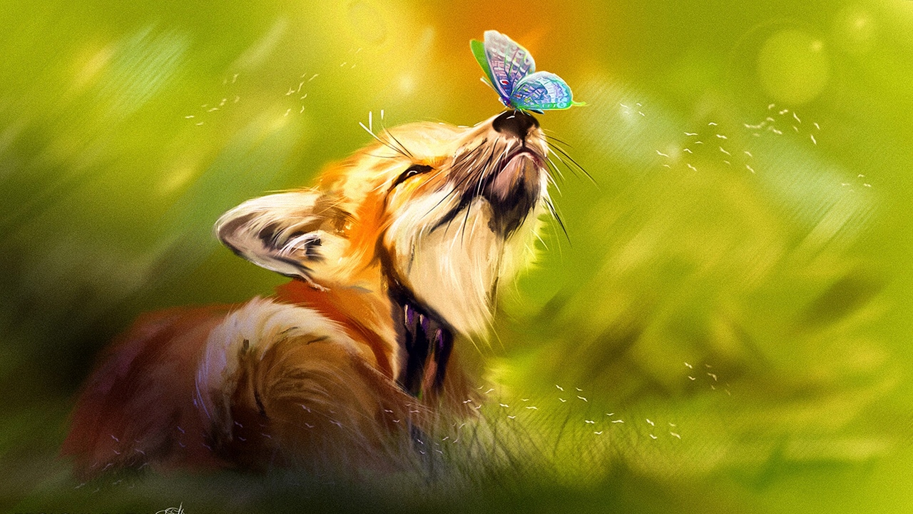 Fox Drawings Wallpapers - Wallpaper Cave