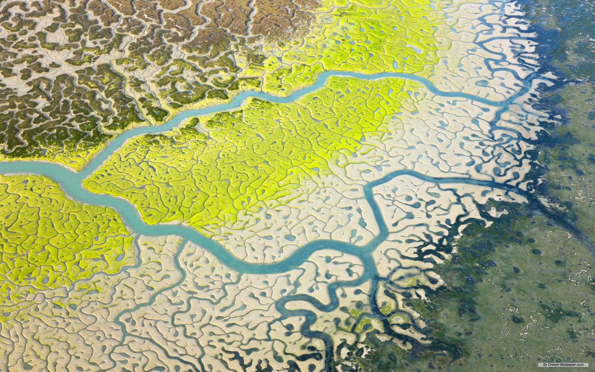 River Map Wallpapers - Wallpaper Cave