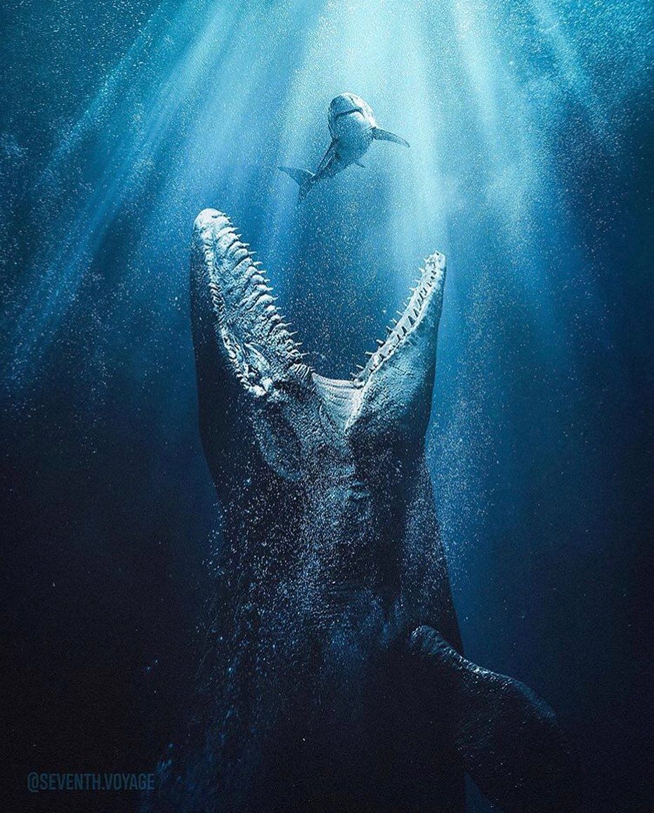 Mosasaurs Wallpapers - Wallpaper Cave