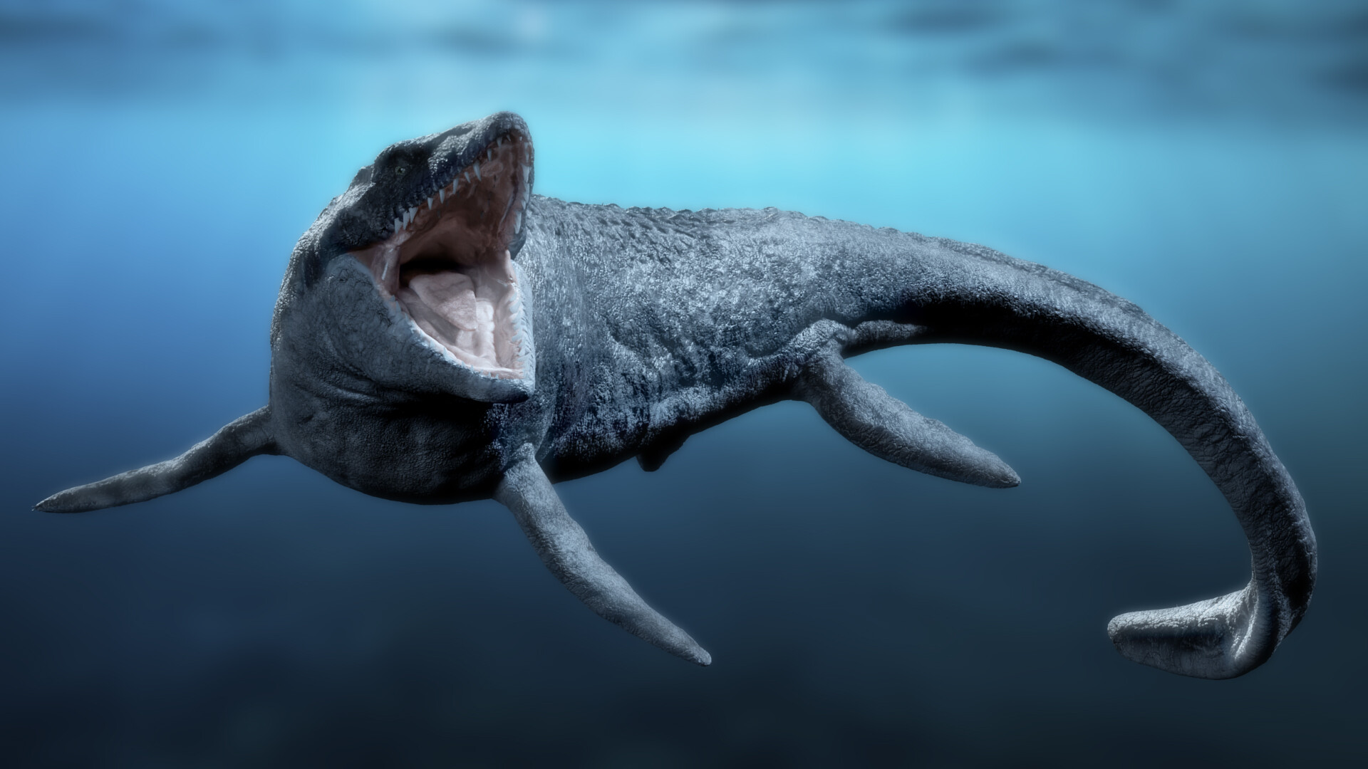 Mosasaurs Wallpapers - Wallpaper Cave