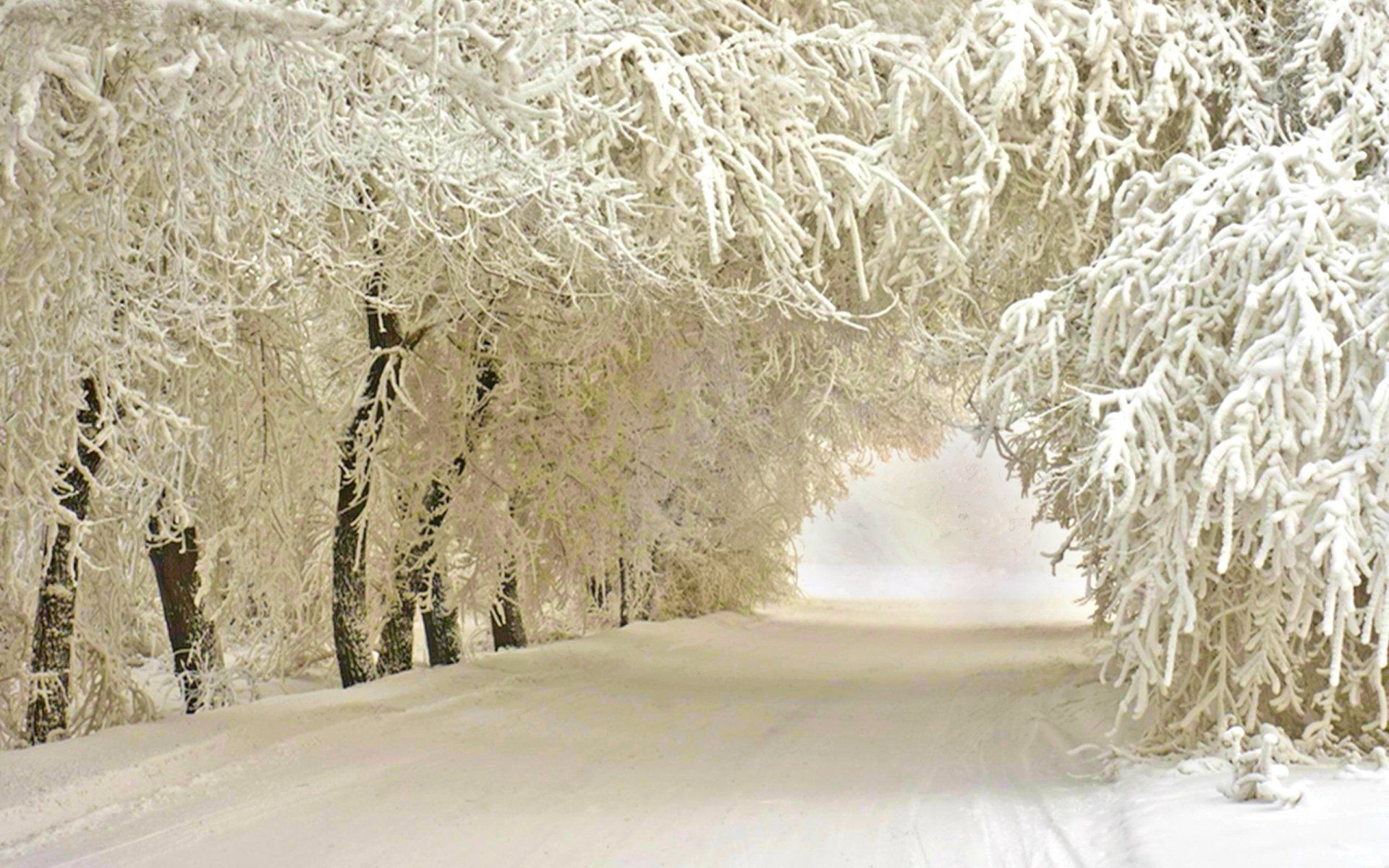 Beige Winter Wallpapers - Wallpaper Cave