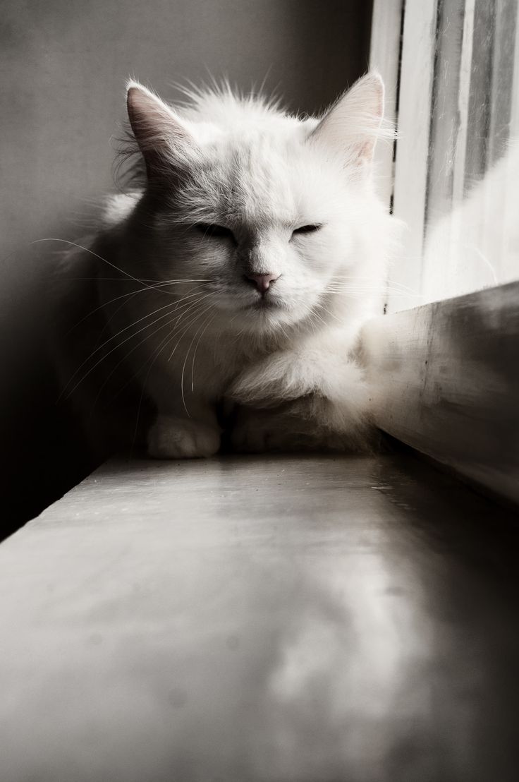 Groggy Wallpapers - Wallpaper Cave